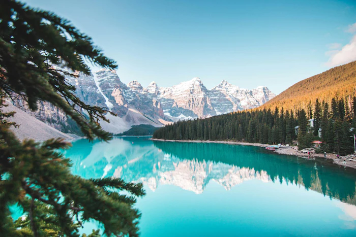 When Is Probate Required in Alberta? A Guide to Estate Administration ...
